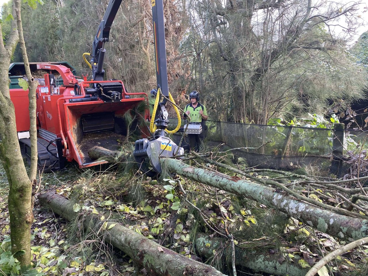 Full Tree Chipping Services in New Zealand | Tree Control