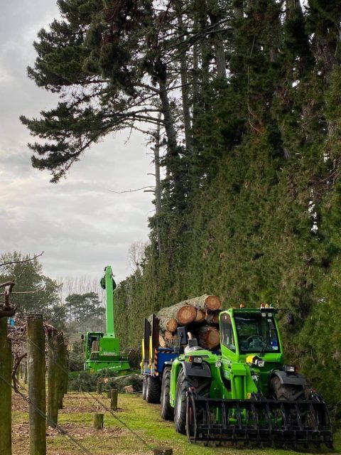 About Us | Tree Control