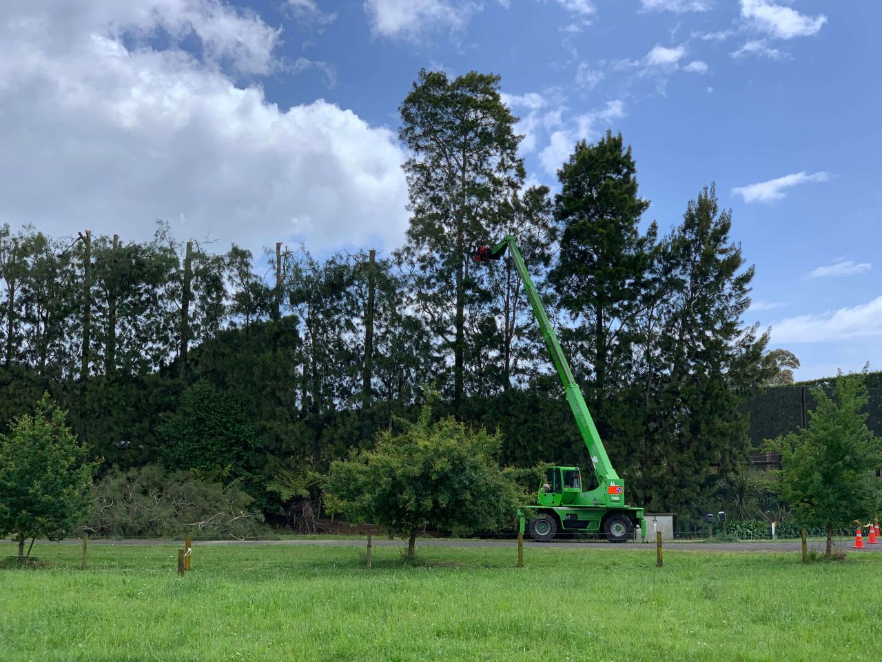 Tree Services Across New Zealand | Tree Control