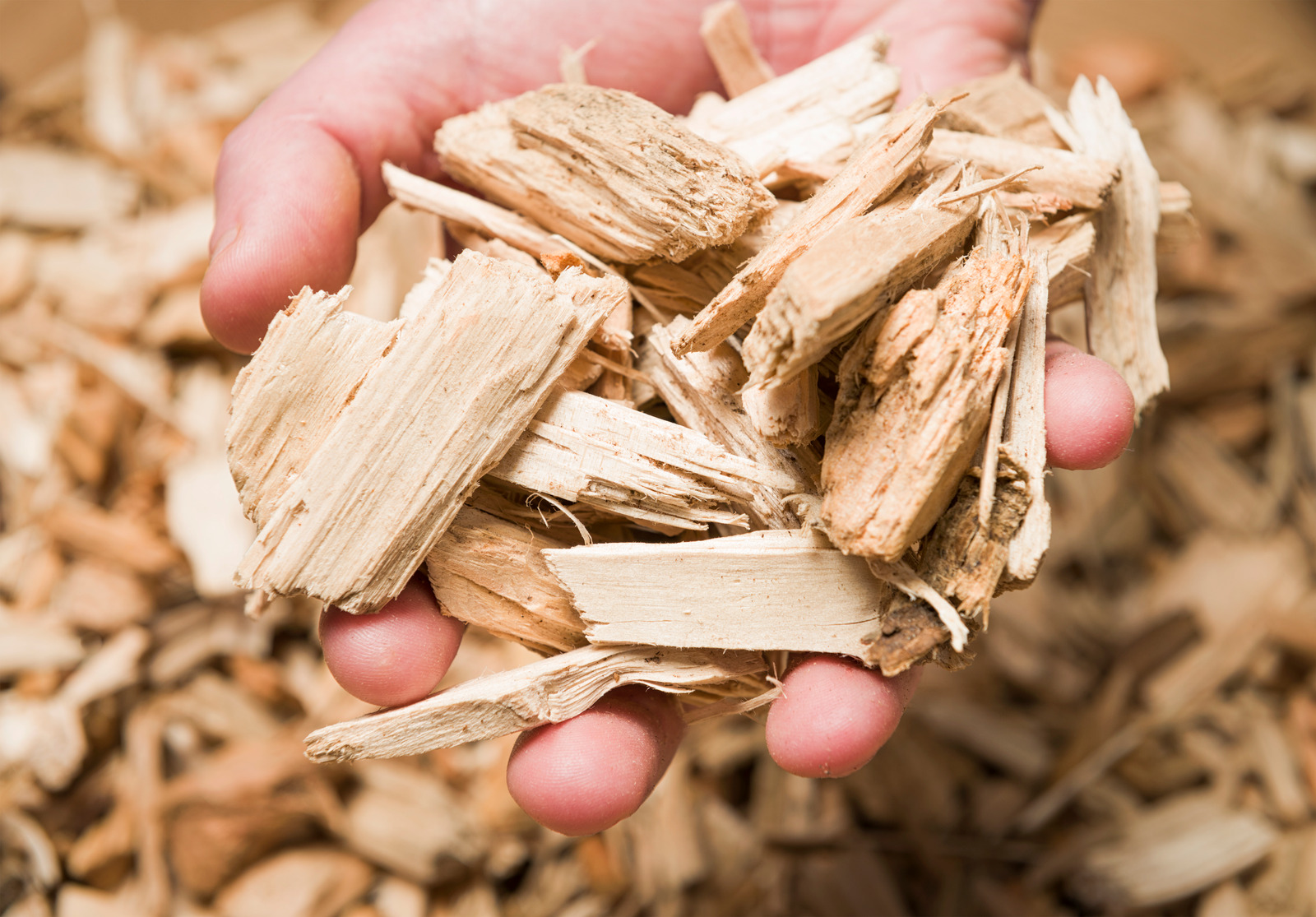 5 Best Uses You Should Know About Wood Chips | Tree Control